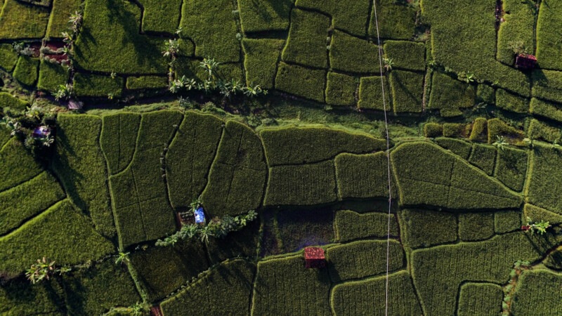 Regenerative capitalism for a sustainable future|Nokia