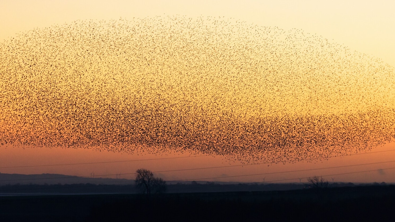 Core network Software as a Service| Nokia