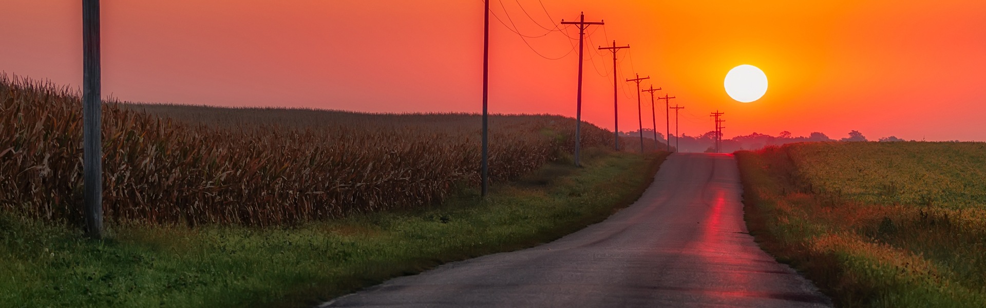 Middle-mile optical transport | Nokia