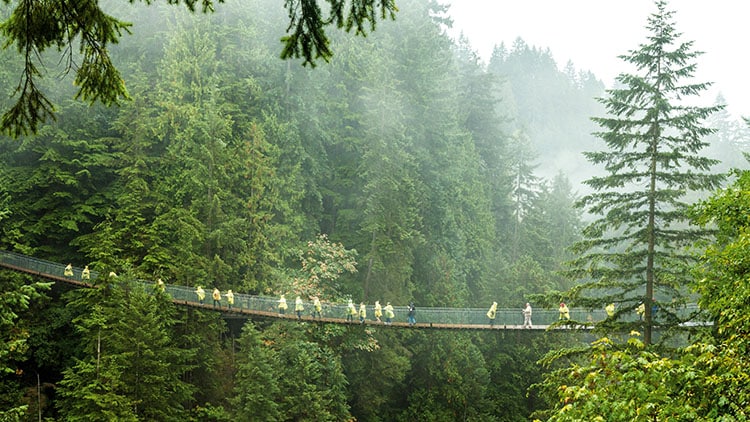 Operators - could this be the ‘perfect’ base station? | Nokia