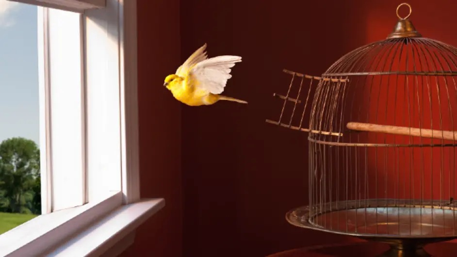 eSIM: calling at all stations I Nokia